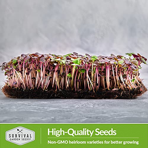 Survival Garden Seeds Opal Basil Microgreens for Sprouting and Growing - Seed to Sprout Green Leafy Micro Vegetable Plants Indoors - Grow Your Own Mini Windowsill Garden - Non-GMO Heirloom Variety