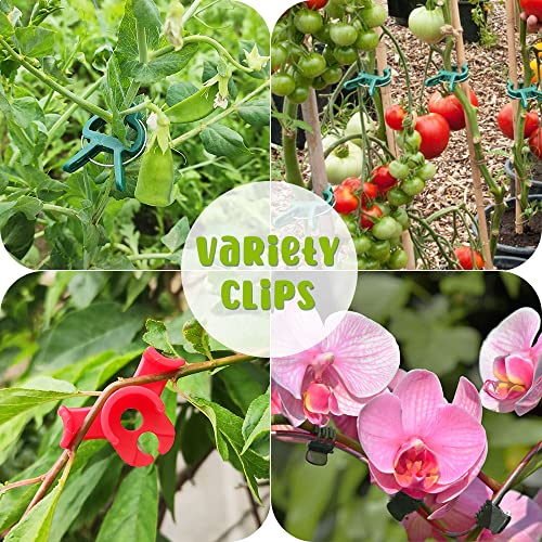 RSZBUMY 80pcs Mixed Plant Clips Variety for Tomato, Climbing Plants Support, Garden Clips for Tomato ect, Plant Training Clips, Orchid Clips
