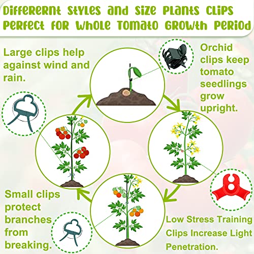 RSZBUMY 80pcs Mixed Plant Clips Variety for Tomato, Climbing Plants Support, Garden Clips for Tomato ect, Plant Training Clips, Orchid Clips