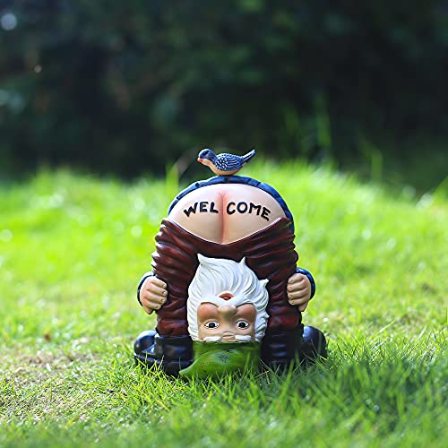 SIBONYU Garden Gnome Statues - Gnomes Decorations for Home, Christmas Decorations for Outdoor/Indoor，Resin Garden Gnome Figurines,Spring Gnomes for Yard, Porch, Patio, Home,Birthday Gift and More