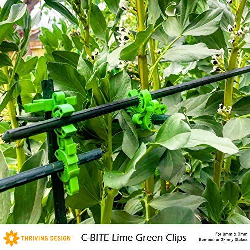 C-BITE Garden Clips Customizable, Reusable, and Strong Connections to Metal or Bamboo Stakes. Create Custom Support Solutions Clips Build Sturdy Tomato Cages, Climbing Vine Trellis (Lime)