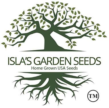 "Silver Queen" Corn Seeds for Planting, 50+ Heirloom Seeds Per Packet, (Isla's Garden Seeds), Non GMO Seeds, Botanical Name: Zea mays