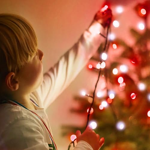 82FT 200 LED Red White Christmas Lights Outdoor/Indoor, Timer & Memory Function & 8 Modes, Extendable Green Wire, Waterproof String Lights for Xmas Tree Holiday Party Garden Yard Decor (Red & White)