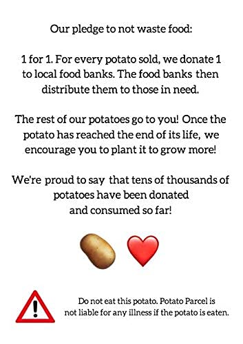 Potato Birthday Bundle - Gift Your Loved ones thier face on a real potato. Includes a Surprise Gift Box. As seen on Shark Tank!