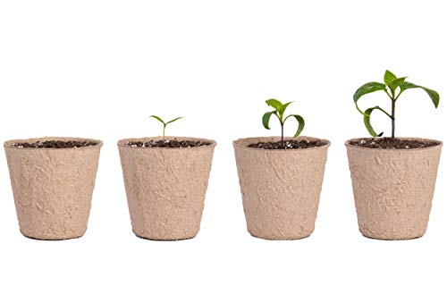 Garden Growers Seed Starter Pots – 3 Inch Biodegradable Peat Pods for Starting Flowers and Vegetables – Breathable and Absorbent for Aeration and Root Growth (60 Pots with 10 Bonus Plant Labels)