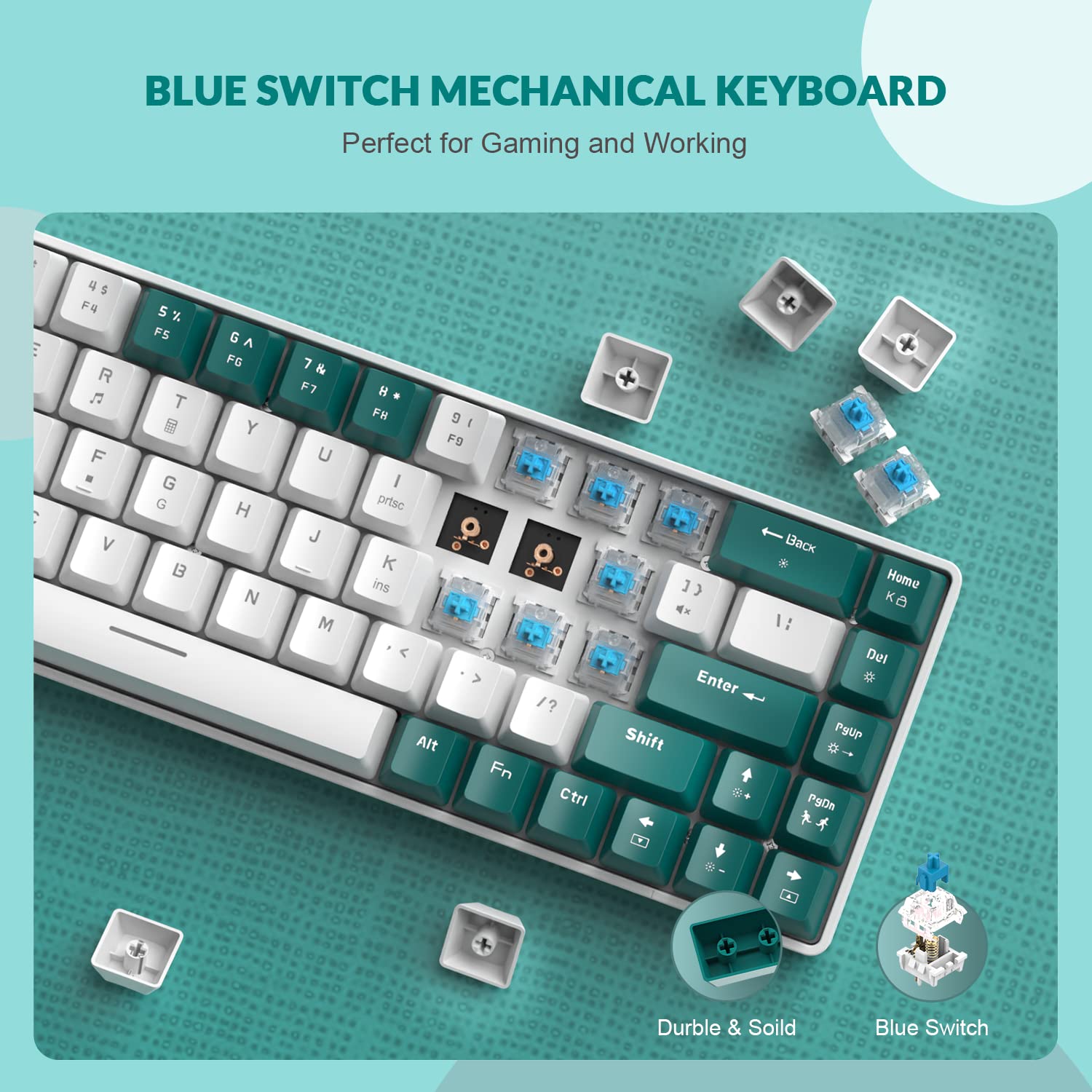 ZIYOU LANG RK-T8PR0 Wired 65% Mechanical Gaming Keyboard and Mouse Combo with RGB LED Backlit Anti-ghosting TKL Mini 68 Key Coiled C to A Cable Tactile Blue Switch for PS4 PS5 Xbox PC Mac Gamer(Green)