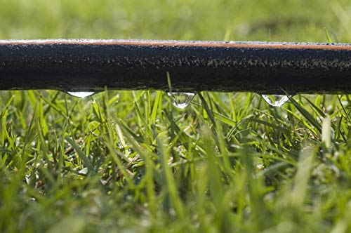 Miracle-Gro SMG12828 50' Garden Soaker Hose, Black