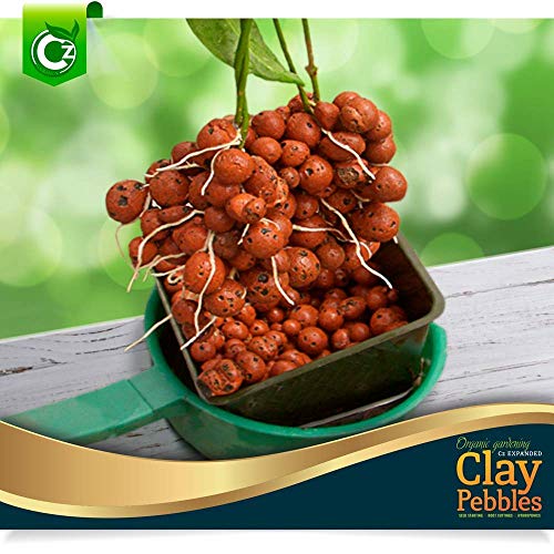 Organic Expanded Clay Pebbles LECA Grow Media for Plants, Orchids, DWC Hydroponics, Aquaponics, Aquaculture Garden Soil Additive Conditioner Amendment Ceramsite Aggregate Cz Garden