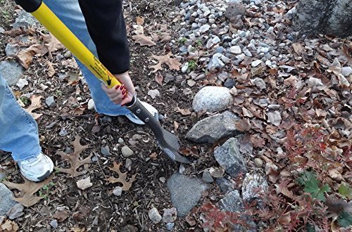 Spear Head Spade Gardening Shovel with Steel Reinforced Fiberglass Handle, Cushioned D-Grip and Sharp Hardened Steel Blade, Award Winning Spade, Model SHFD3 Teal