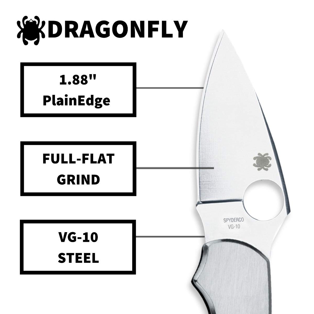 Spyderco Dragonfly Signature Knife with 2.32" VG-10 Steel Blade and Durable Stainless Steel Handle - PlainEdge - C28P