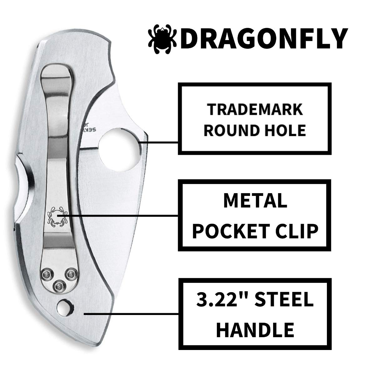 Spyderco Dragonfly Signature Knife with 2.32" VG-10 Steel Blade and Durable Stainless Steel Handle - PlainEdge - C28P