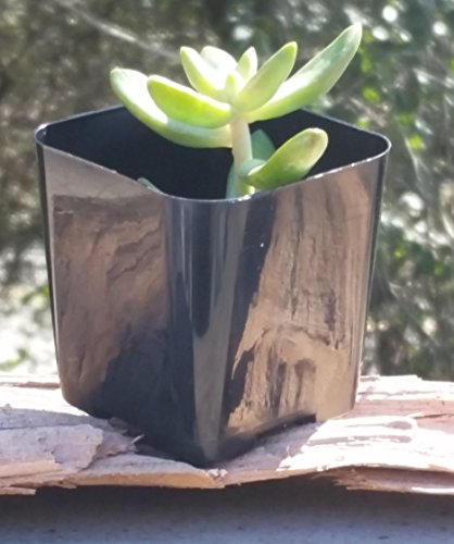 WH Garden Supply Pack of 2 Inch Plastic Flower Pots for Seedlings, or Succulents (100 Pots, Black)