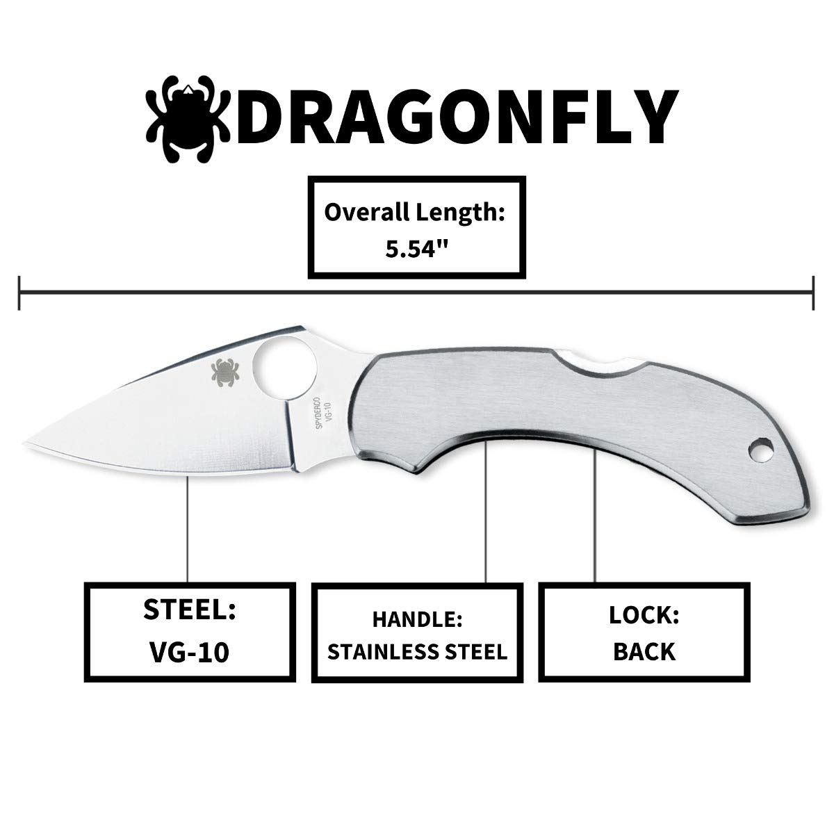 Spyderco Dragonfly Signature Knife with 2.32" VG-10 Steel Blade and Durable Stainless Steel Handle - PlainEdge - C28P