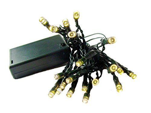 Dobar Holiday Pride Battery Operated 20 Mini LED Lights with Green Wire - Perfect for Decorating Christmas Wreaths, Garland, & Small Trees - (Warm White)