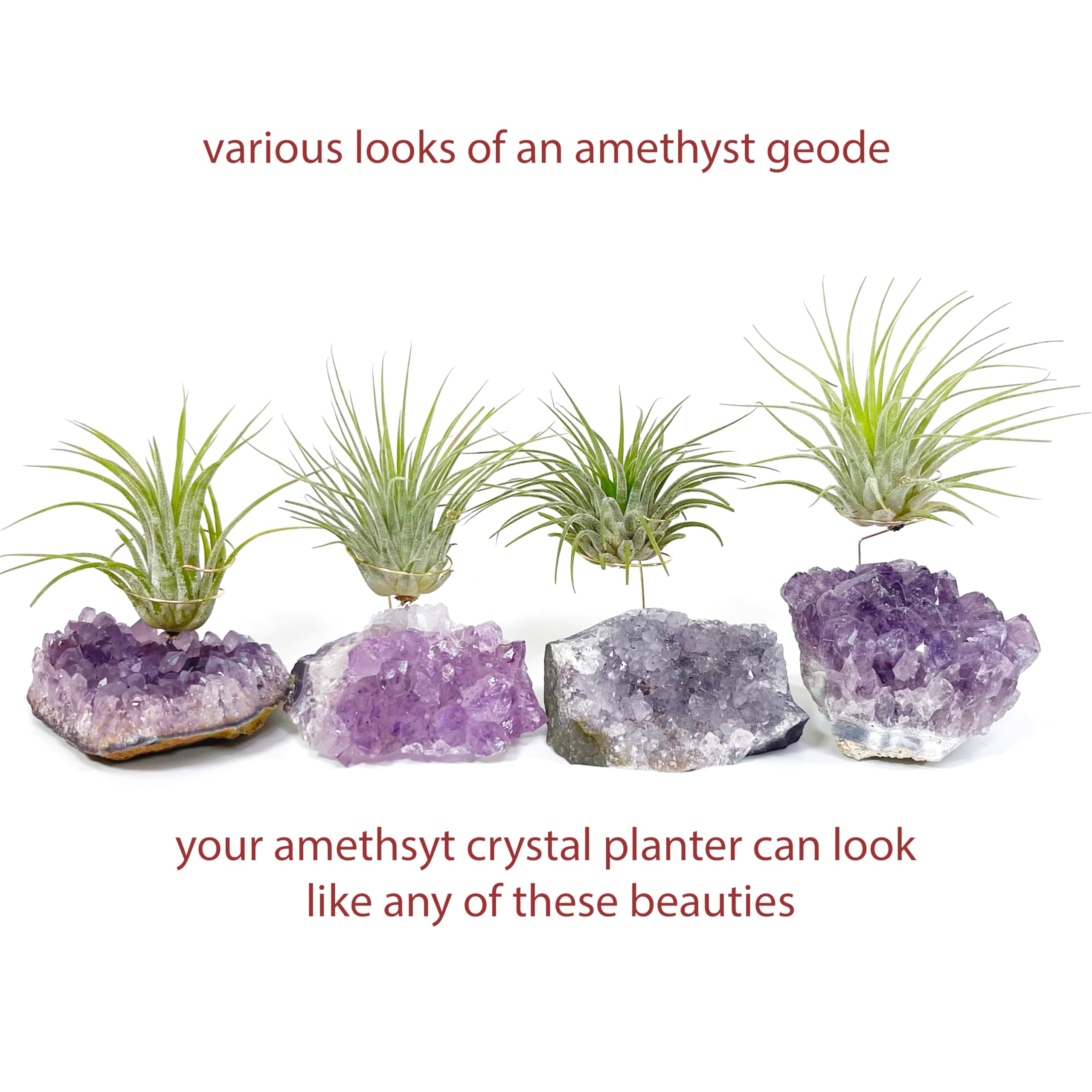 Set of 3 Small Amethyst Crystal Air Plant Holder Includes live Air Plant and Happy Birthday to You Gift Box