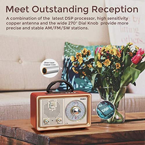 J-160 Retro AM FM Shortwave Radio, J-110 Vintage AM FM Shortwave Tabletop Radio with Excellent Reception, SD Card USB Drive Aux-in MP3 Player, Battery Operated by PRUNUS