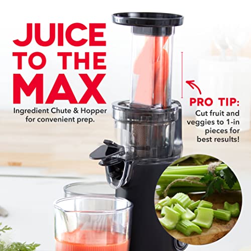 DASH Deluxe Compact Masticating Slow Juicer, Easy to Clean Cold Press Juicer with Brush, Pulp Measuring Cup, Frozen Attachment and Juice Recipe Guide - Black