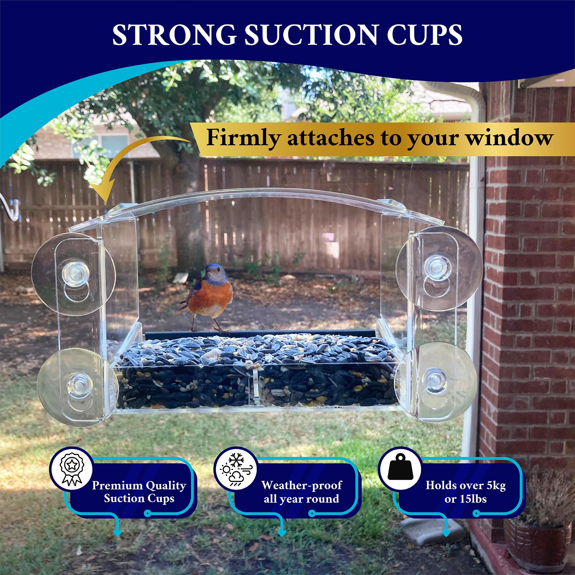 GoGiffy (2-Pack) Acrylic Window Bird House Feeders for Outside Viewing | Large Capacity with 4 Strong Suction Cups | Removable Seed Tray with Drain Holes | Easy to Refill & Clean | Squirrel Chew Proof