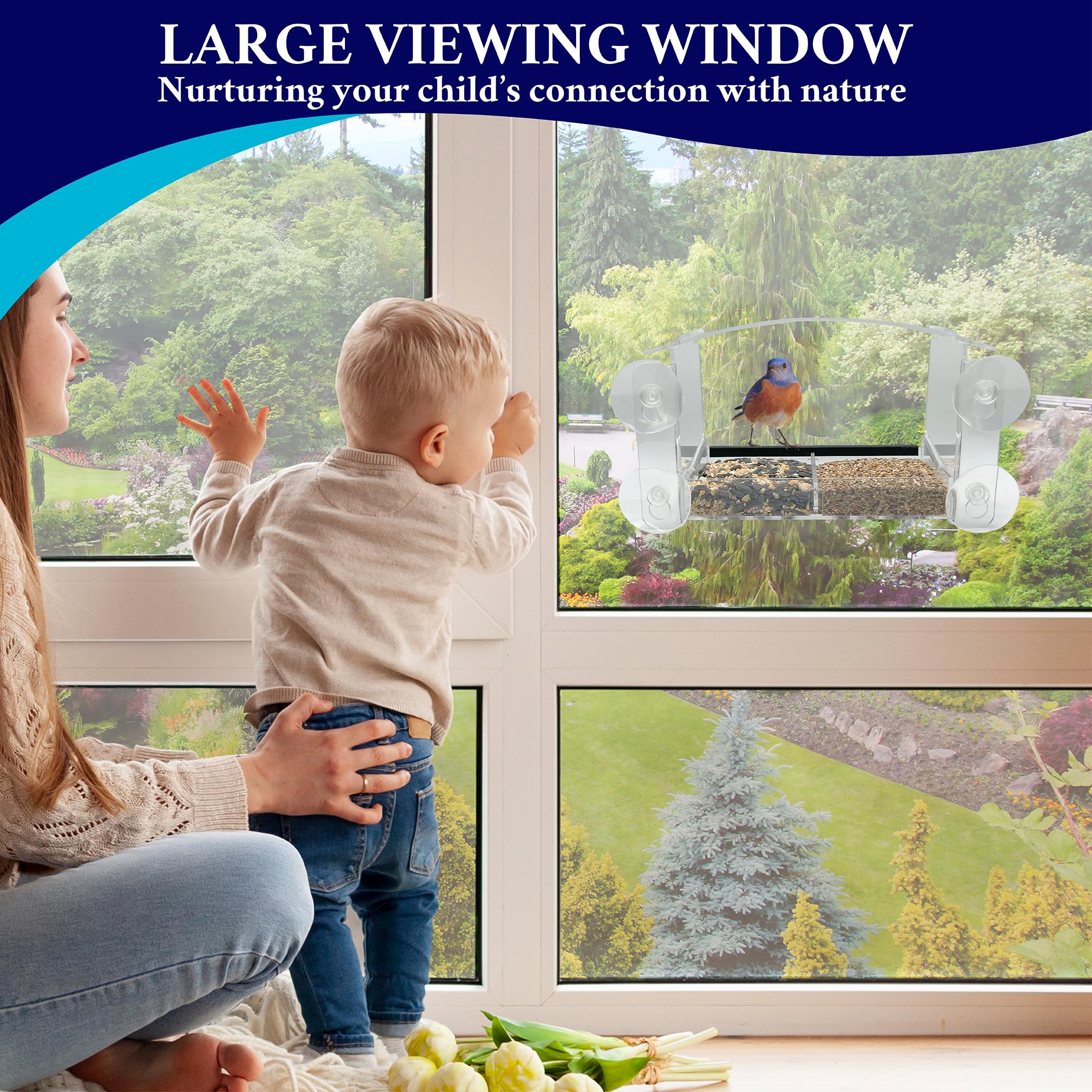 GoGiffy (2-Pack) Acrylic Window Bird House Feeders for Outside Viewing | Large Capacity with 4 Strong Suction Cups | Removable Seed Tray with Drain Holes | Easy to Refill & Clean | Squirrel Chew Proof