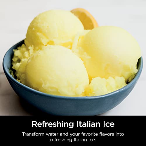 Ninja NC501 CREAMi Deluxe 11-in-1 Ice Cream & Frozen Treat Maker for Ice Cream, Sorbet, Milkshakes, Frozen Drinks & More, 11 Programs, with 2 XL Family Size Pint Containers, Perfect for Kids, Silver