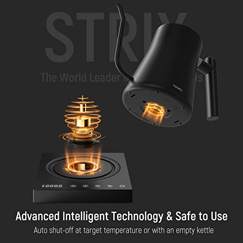 Gooseneck Electric Kettle Fabuletta Electric Kettle Temperature Control 100% Stainless Steel Inner Lid & Bottom Pour Over Coffee Kettle & Tea Kettle 1200W Quick Heating 1L Tea Pot for Family