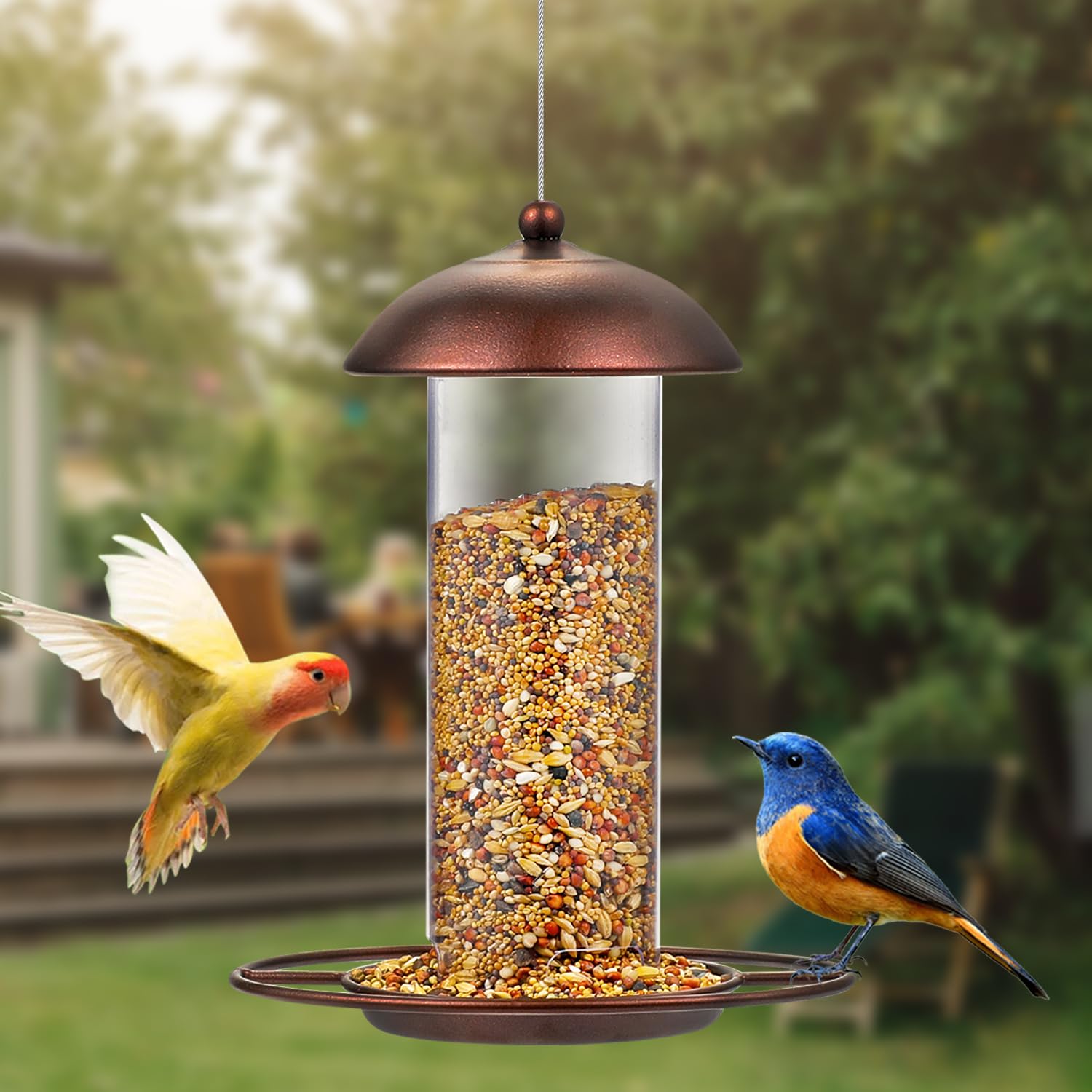 Yardia 2 Pack Metal Wide Bird Feeders - Hanging Outdoor Bird Feeder with 1.6lbs Capacity, Strong Wire Lanyard for Garden Yard Decoration