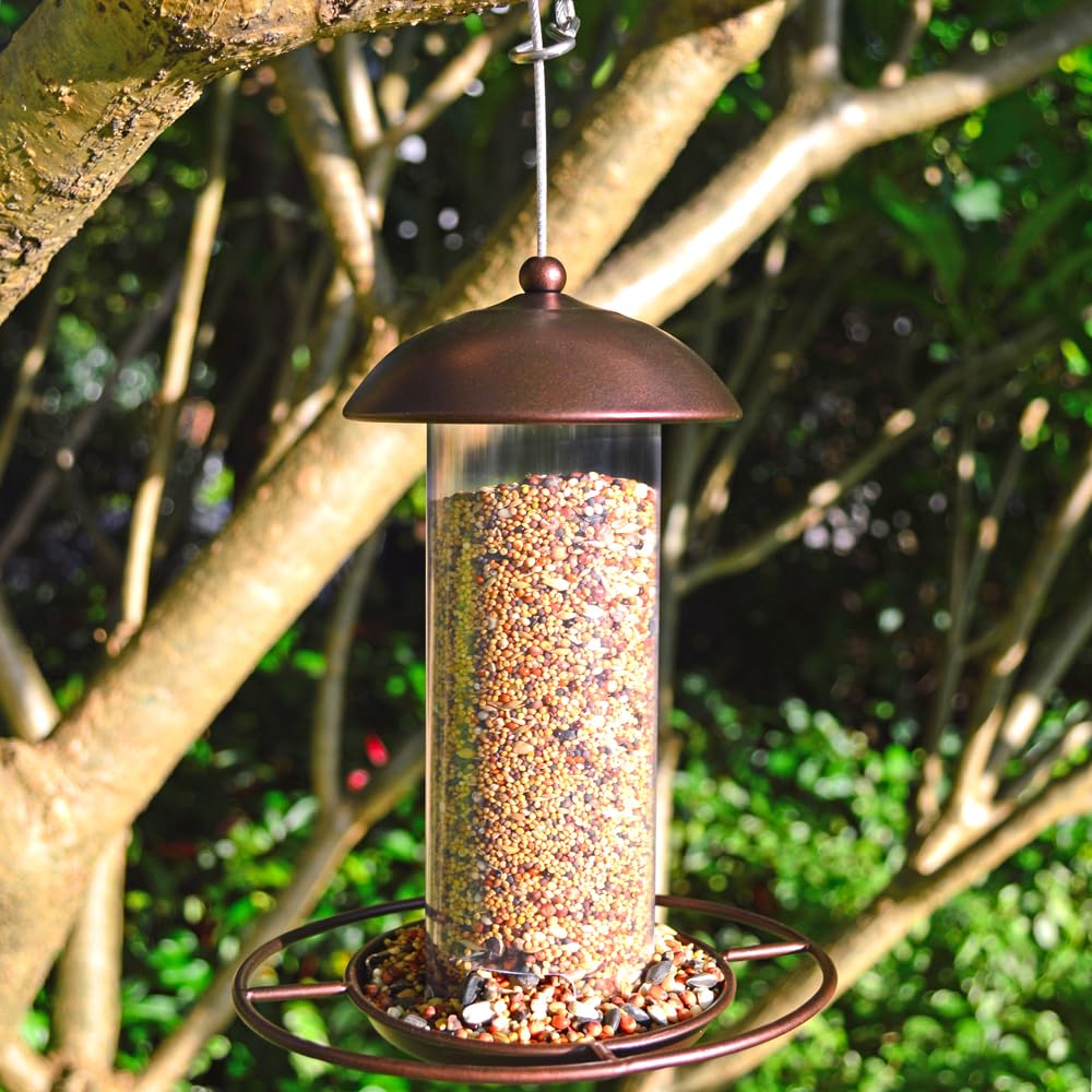 Yardia 2 Pack Metal Wide Bird Feeders - Hanging Outdoor Bird Feeder with 1.6lbs Capacity, Strong Wire Lanyard for Garden Yard Decoration