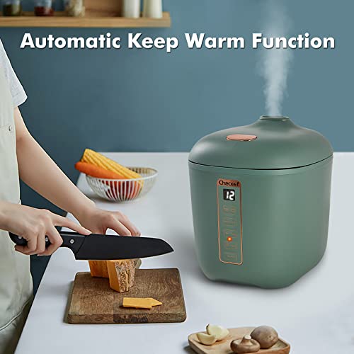 CHACEEF Mini Rice Cooker 2-Cups Uncooked, 1.2L Portable Non-Stick Small Travel Rice Cooker, Smart Control Multifunction Cooker with 24 Hours Timer Delay & Keep Warm Function, Food Steamer, Green