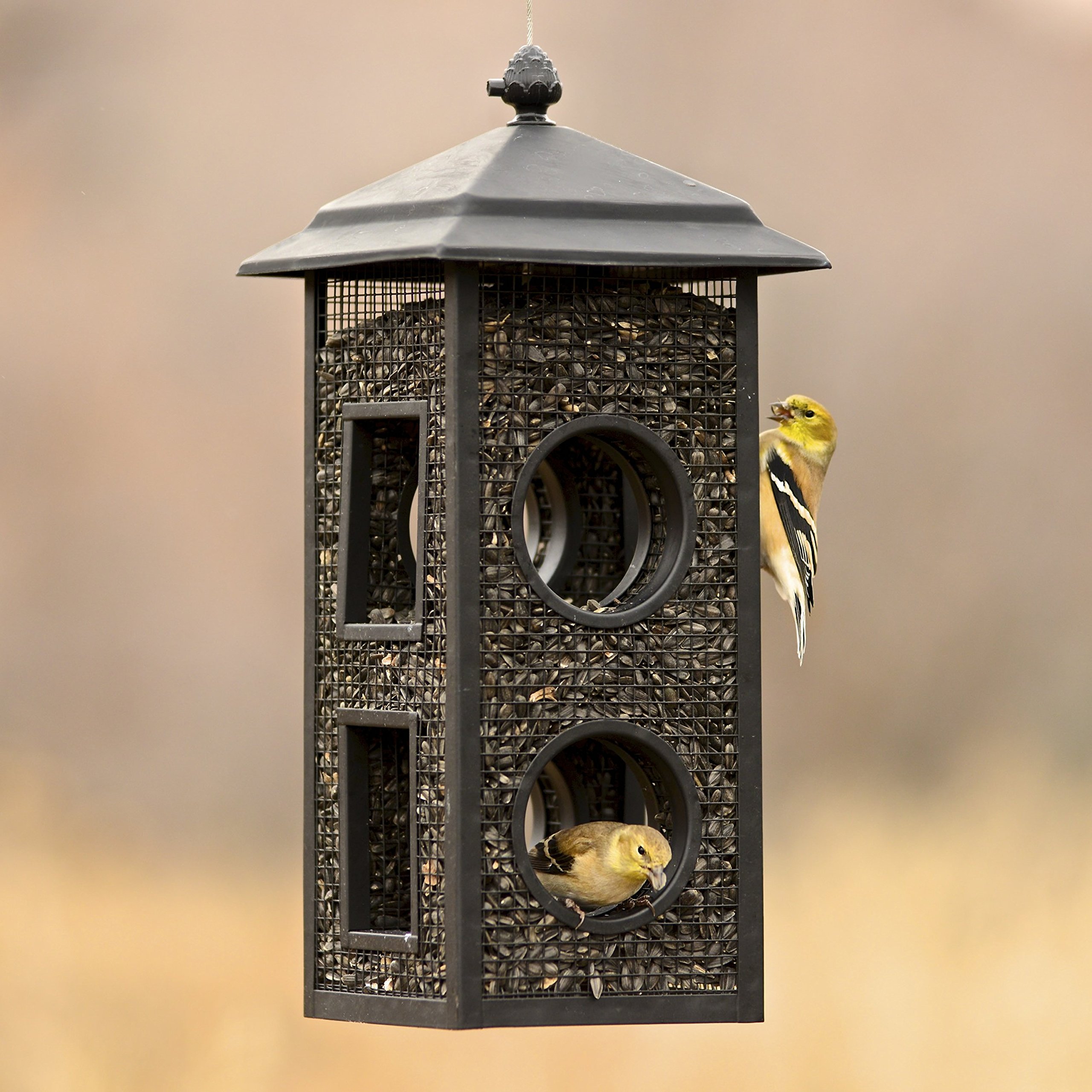 Perky-Pet B00303 Fly-Through Wild Bird Feeder