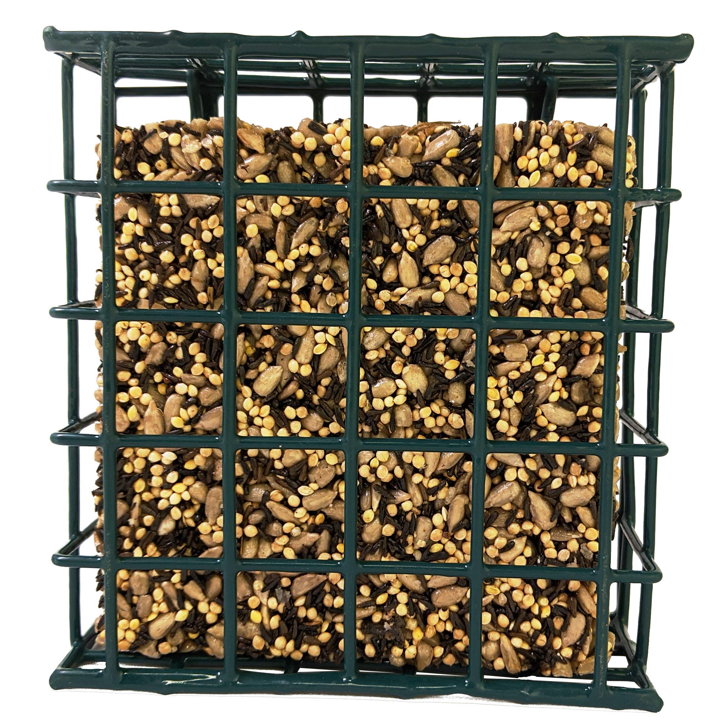 Songbird Treats Seed Bars | 12 Pack of 8 oz Bird Seed Cakes for Wild Birds (Nutty's Berries)