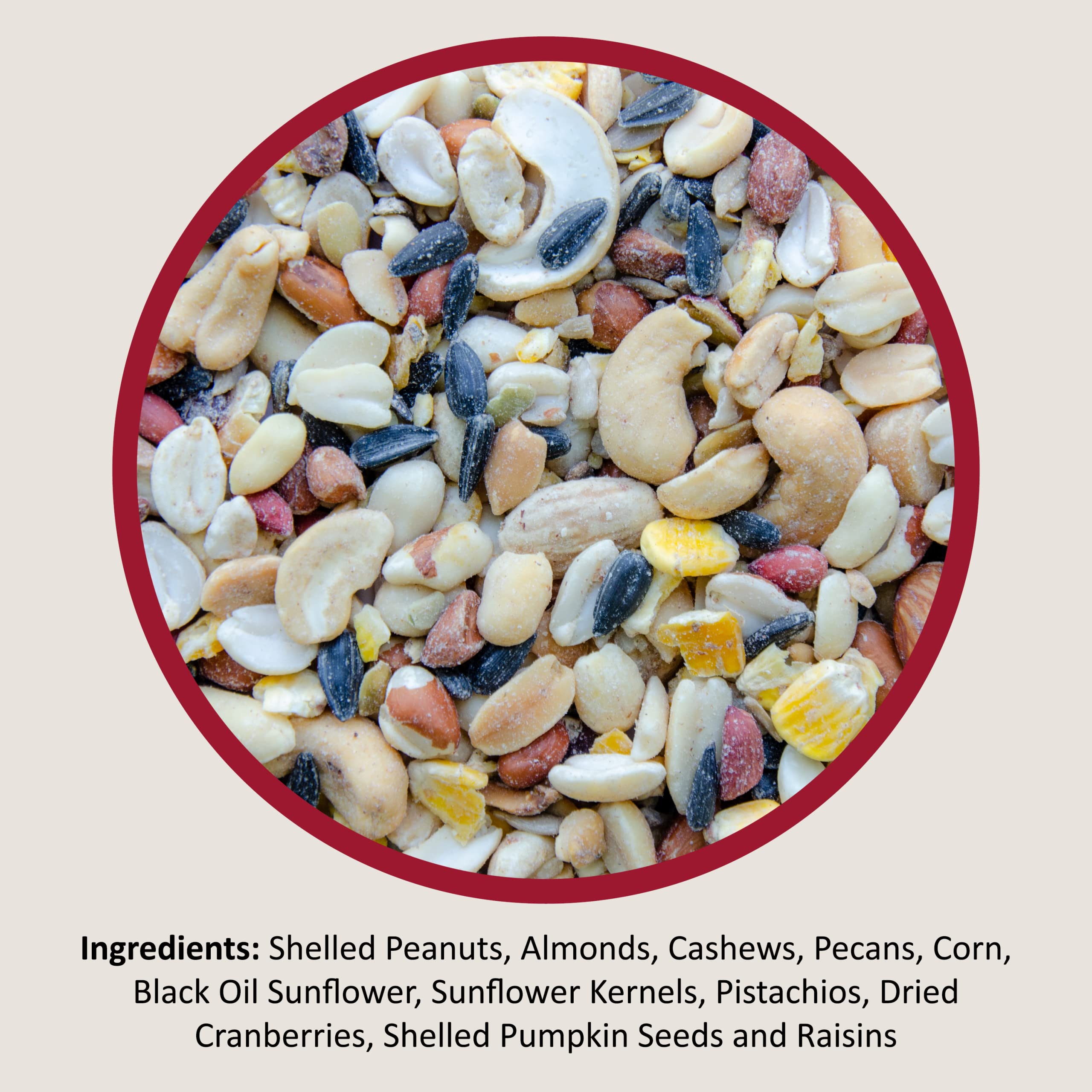 Lyric Fruit and Nut Wild Bird Seed - High Energy Wild Bird Food Mix - Attracts Woodpeckers, Chickadees & Other Songbirds - 5 lb bag