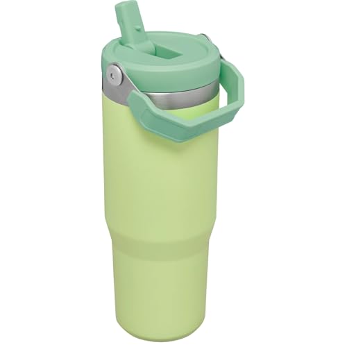 Stanley IceFlow Stainless Steel Tumbler - Vacuum Insulated Water Bottle for Home, Office or Car Reusable Cup with Straw Leak Resistant Flip Cold for 12 Hours or Iced for 2 Days, Citron, 30oz