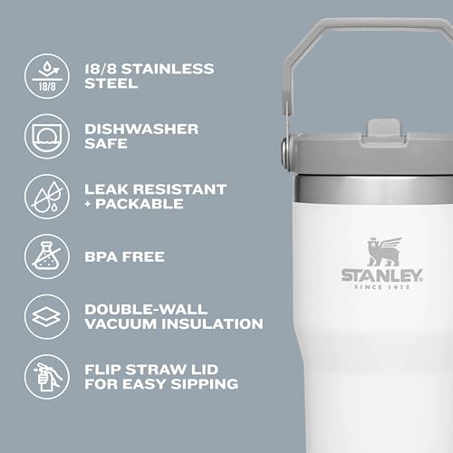 Stanley IceFlow Stainless Steel Tumbler - Vacuum Insulated Water Bottle for Home, Office or Car Reusable Cup with Straw Leak Resistant Flip Cold for 12 Hours or Iced for 2 Days, Citron, 30oz
