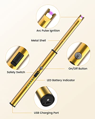 Plasma Arc Electric Lighter - Rechargeable Long Neck, Windproof Flame-Less Lighter for Candle, Firework, Camping, Grill, Gas Stove, Kitchen