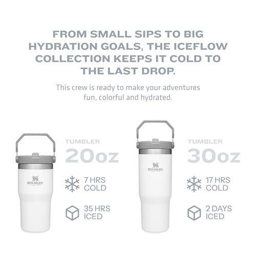 Stanley IceFlow Stainless Steel Tumbler - Vacuum Insulated Water Bottle for Home, Office or Car Reusable Cup with Straw Leak Resistant Flip Cold for 12 Hours or Iced for 2 Days, Citron, 30oz
