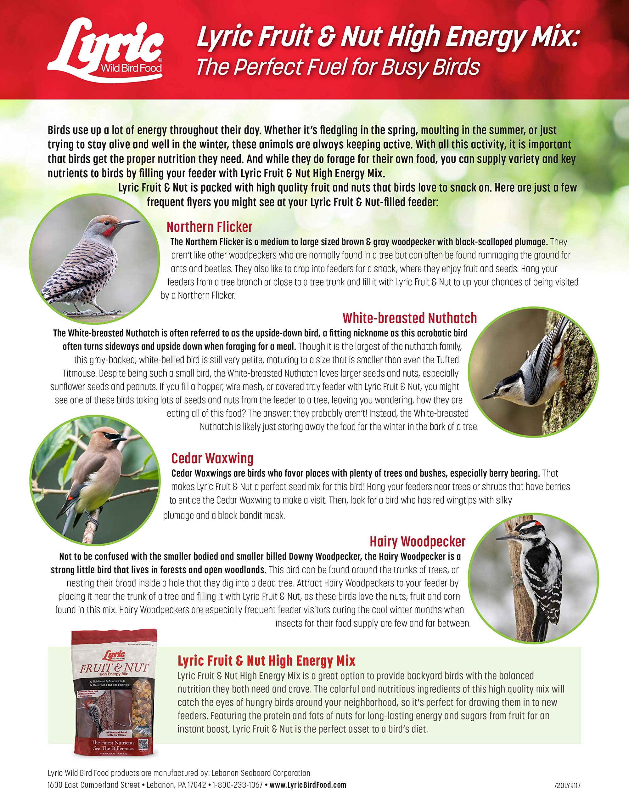 Lyric Fruit and Nut Wild Bird Seed - High Energy Wild Bird Food Mix - Attracts Woodpeckers, Chickadees & Other Songbirds - 5 lb bag