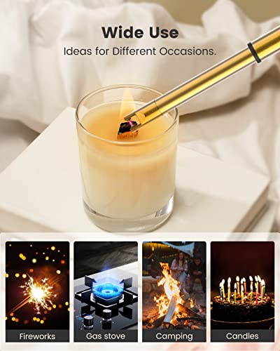 Plasma Arc Electric Lighter - Rechargeable Long Neck, Windproof Flame-Less Lighter for Candle, Firework, Camping, Grill, Gas Stove, Kitchen