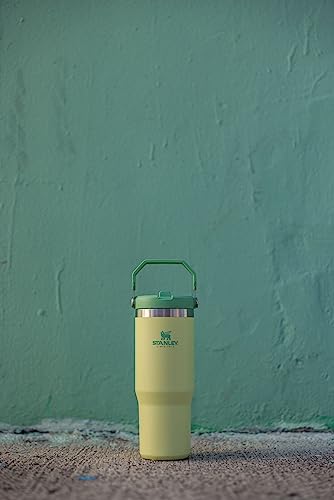 Stanley IceFlow Stainless Steel Tumbler - Vacuum Insulated Water Bottle for Home, Office or Car Reusable Cup with Straw Leak Resistant Flip Cold for 12 Hours or Iced for 2 Days, Citron, 30oz