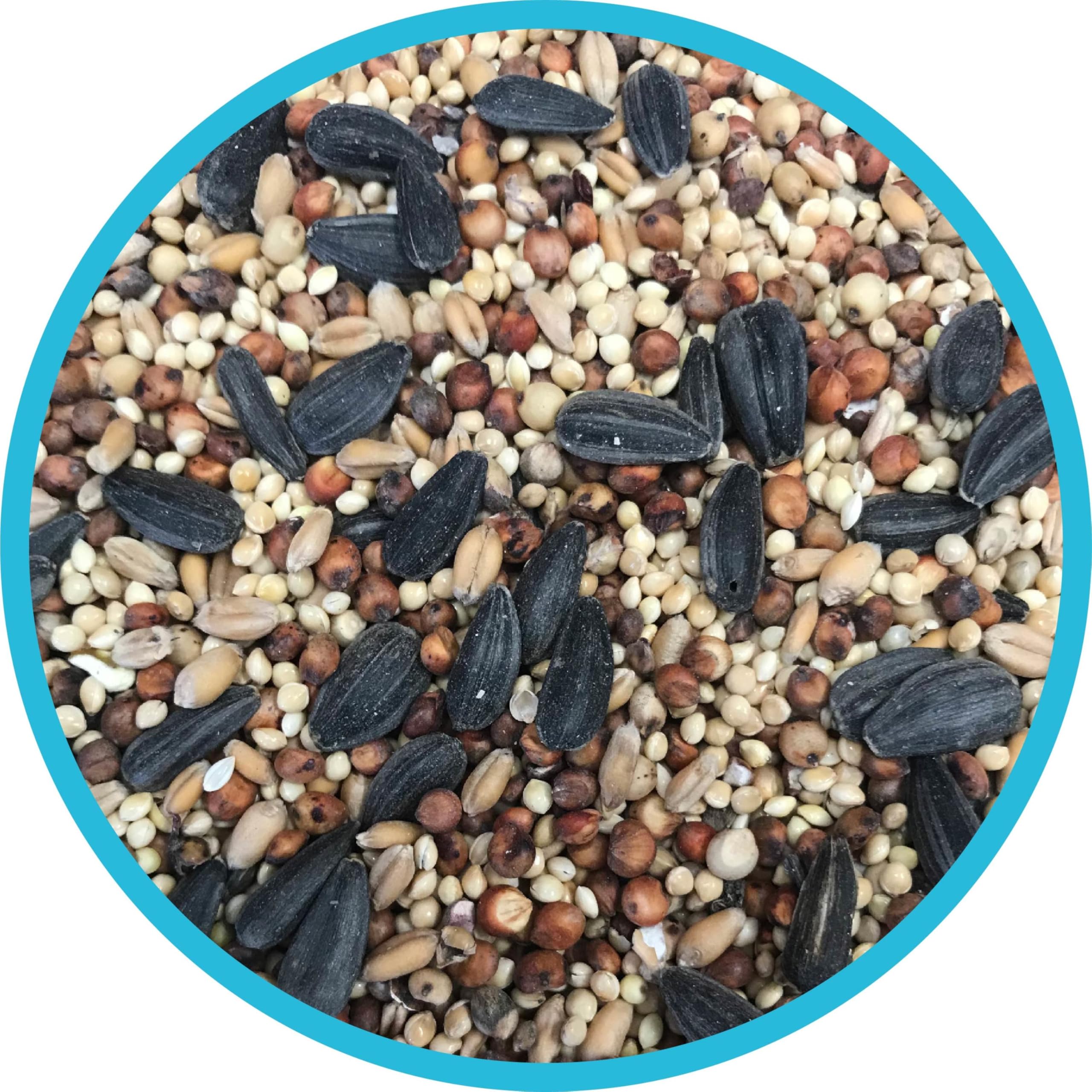 Pennington Classic Wild Bird Feed
