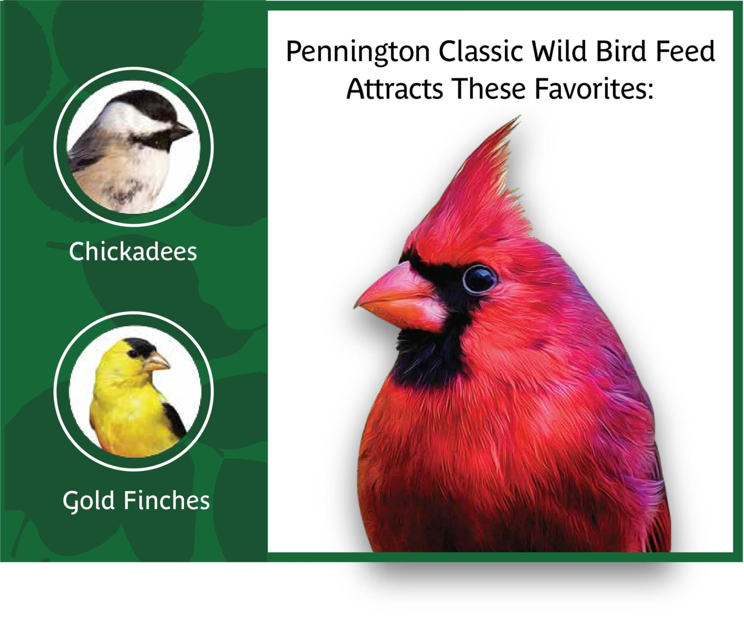 Pennington Classic Wild Bird Feed