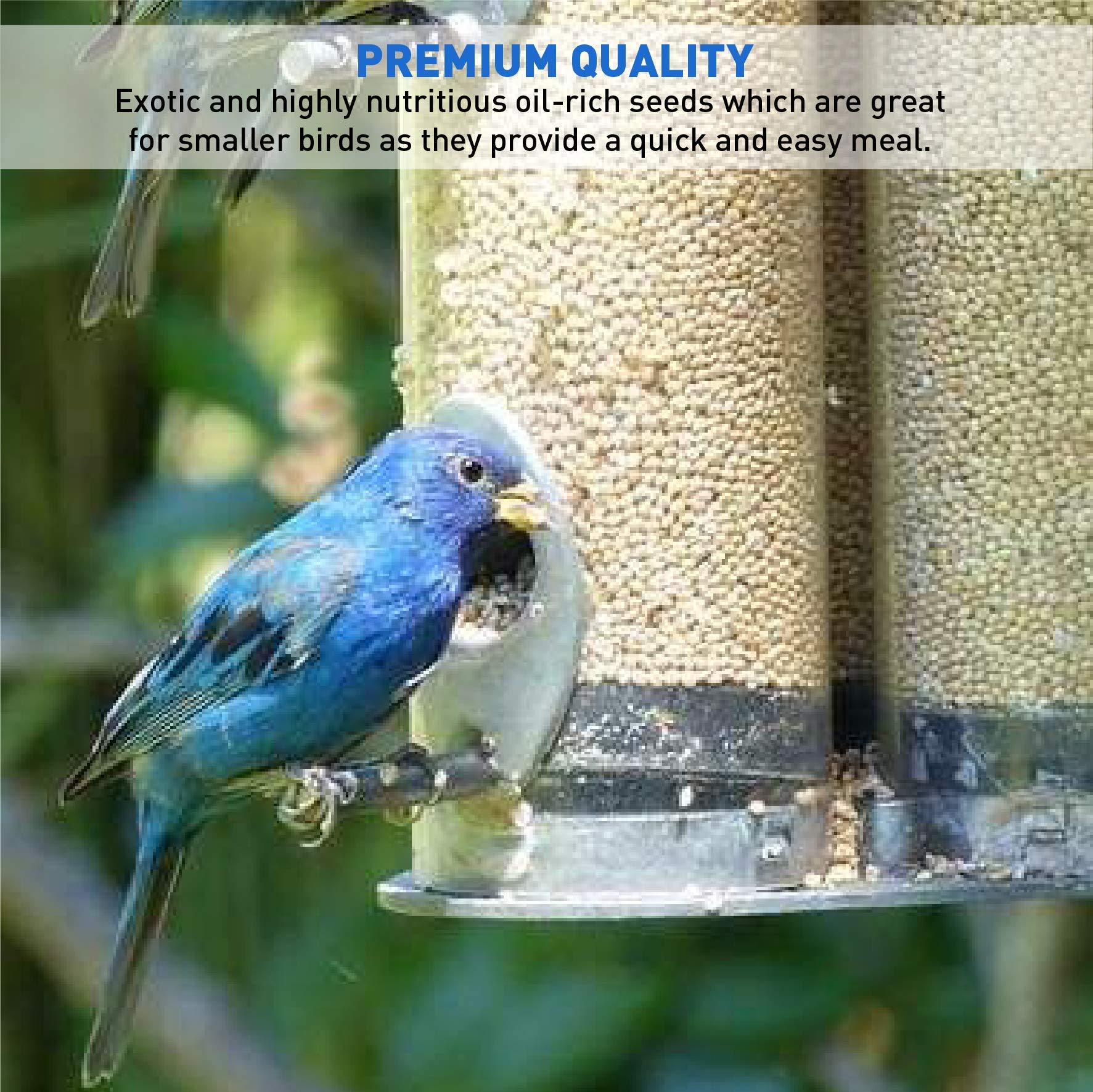 EasyGo Product White Millet Wild Bird Food β 50 lb