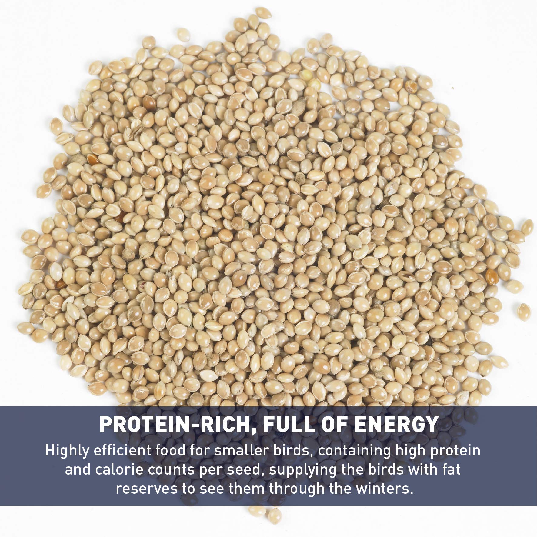 EasyGo Product White Millet Wild Bird Food β 50 lb