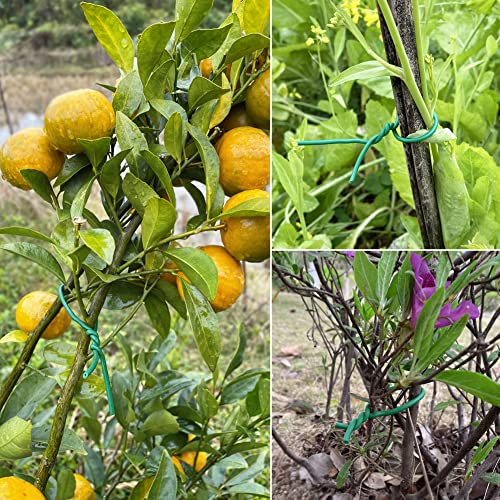 Tenn Well Green Garden Plant Ties, 66 Feet 2.8mm Bendable Plant Training Wire Trellis Wire for Supporting Tomato Plants, Climbing Roses and Cucumbers (2PCS X 33 Feet)