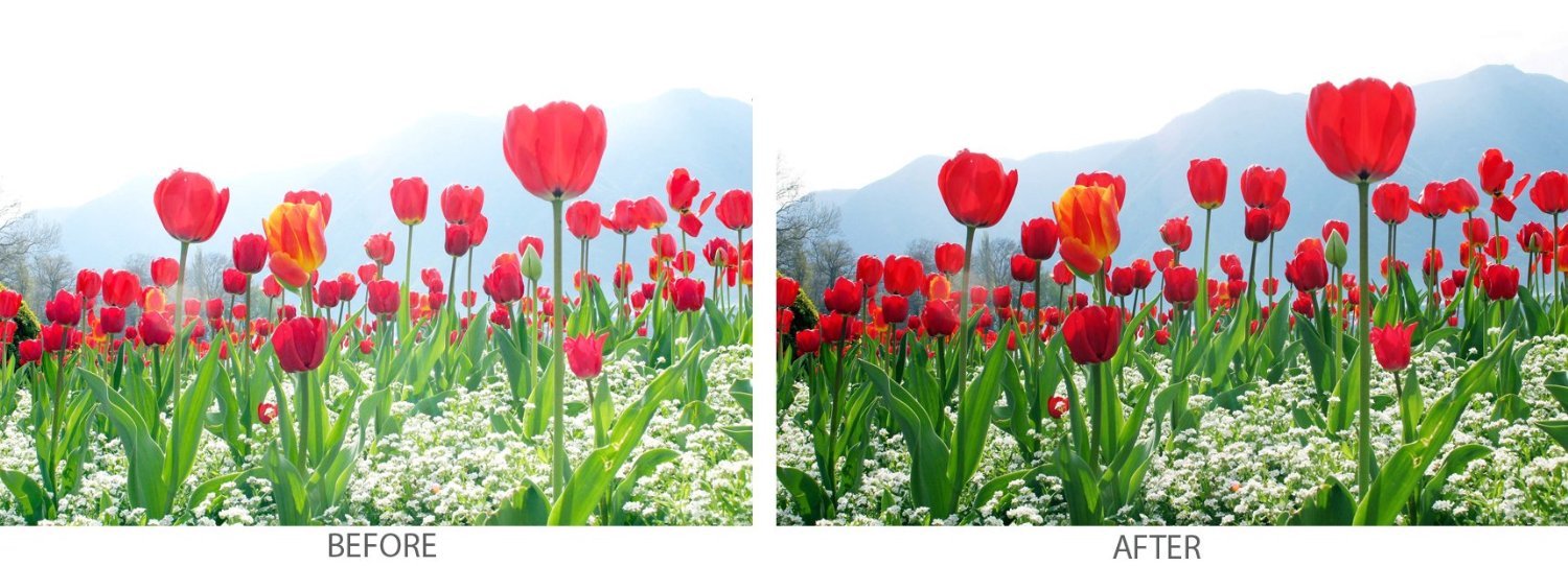 77mm Pro series Multi-Coated High Resolution Digital Ultraviolet Filter