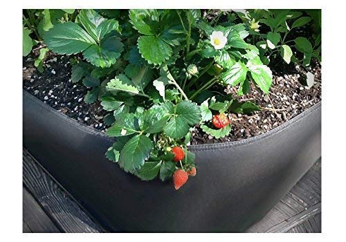 3 ft X 6 ft Victory 8 EZ-GRO Med Rectangle Raised Garden Bed Just Right Size AeroFlow Proprietary Fabric Grow Your OWN