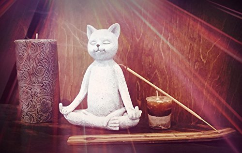 Funny Guy Mugs Garden Gnome Statue - Middle Finger Cat - Indoor/Outdoor Garden Gnome Sculpture for Patio, Yard or Lawn