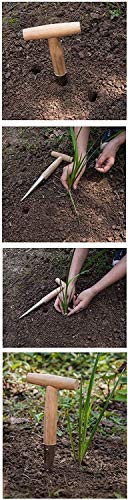 Hand Dibber with Wooden Handle, Chrome Coated Stainless Steel Head - Lightweight Sturdy Handy Seeding Garden Tool Kit for Sow Seeds (Dibber New)