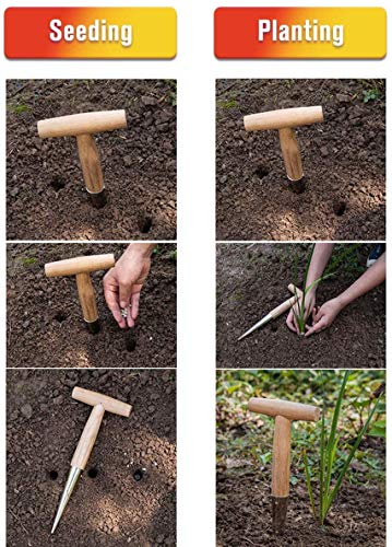Hand Dibber with Wooden Handle, Chrome Coated Stainless Steel Head - Lightweight Sturdy Handy Seeding Garden Tool Kit for Sow Seeds (Dibber New)