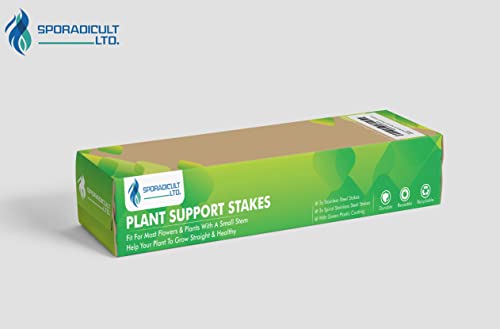 Stem Plant Support Stakes – 16 inches 3X Single Stem Flower Stakes and 3X Spiral Support for Climbing Plants Garden Stakes and Support for Potted Plants Rose Orchid Lily Dahlia Clematis Ipomoea