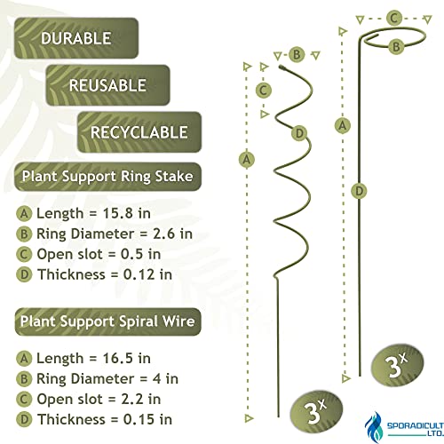 Stem Plant Support Stakes – 16 inches 3X Single Stem Flower Stakes and 3X Spiral Support for Climbing Plants Garden Stakes and Support for Potted Plants Rose Orchid Lily Dahlia Clematis Ipomoea
